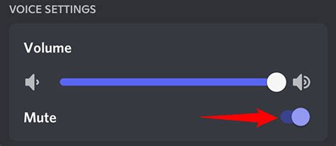 Discover Top 5 Fixes For Discord Cant Unmute