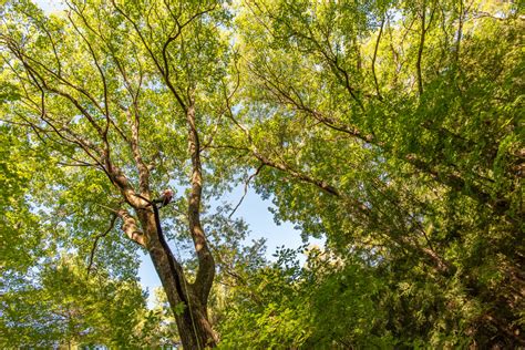 Summer Internship Opportunities Cas Office Of Experiential Learning And Discovery