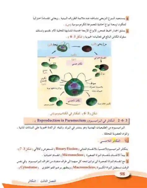 مراحل التكاثر الجنسي في الكلاميدوموناس جعفر الحسني التكاثر في