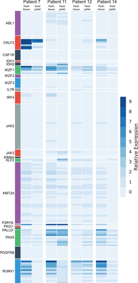 Rna Expression Of 21 Selected Genes In The Paired Cryopreserved Versus Download Scientific