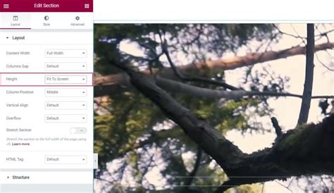 how to add a fullscreen video background wordpress feature qode
