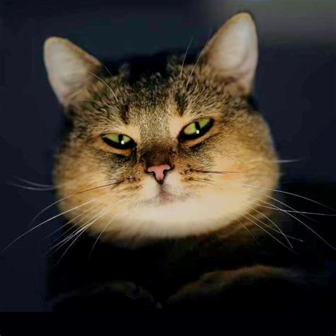 Linux驱动 Rk628d 林中yi轩