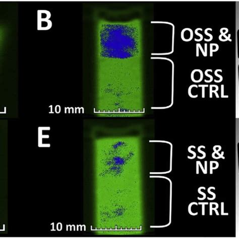 Functional Polymer Coatings On Nanoparticles Enable Targeted Attachment