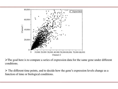 Ppt Microarray Gene Expression Data Analysis Powerpoint Presentation