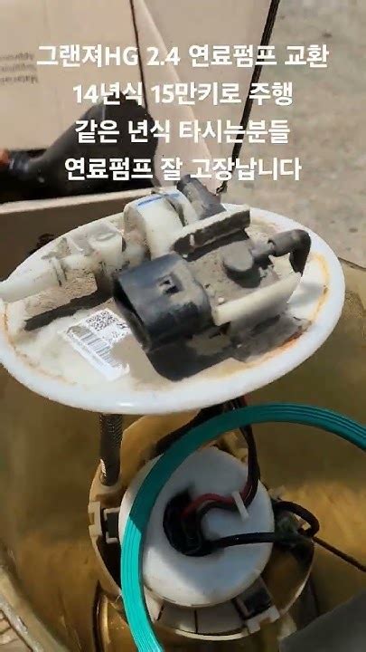 그랜져hg 24 연료펌프교환이번주에 같은품번 3대분 파셨다고함예방정비 필요해보임그랜져hg 연료펌프 Youtube