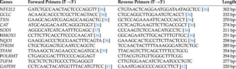 primer sequences and amplicon lengths for antioxidant and mitochondrial