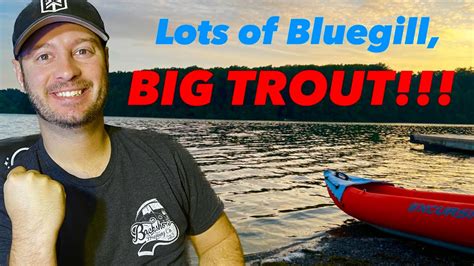 Small Sunnies Big Trout Youtube