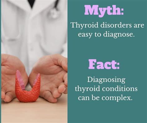 Understanding Hyperthyroidism Signs Symptoms And Care For All Artofit
