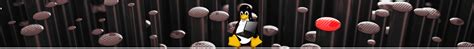 Any Advantage To Ubuntu Pro Desktop R Ubuntu