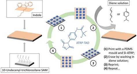 Covalent Adaptable Networks Encyclopedia Mdpi