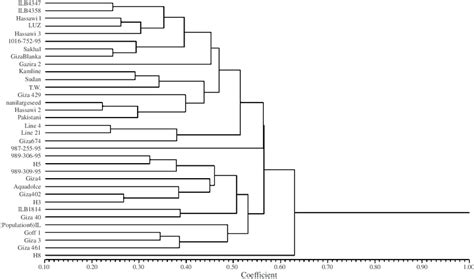 Unweighted Pair Group Method With Arithmetic Average Dendrogram Of The