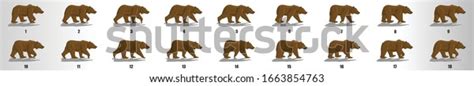 Bear Walk Cycle Animation Frames Loop Stock Vector Royalty Free