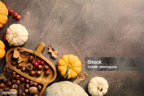 가을 평면은 도토리 호박 빨간 열매 돌 배경에 견과류와 도토리 모양의 나무 접시와 구성을 놓습니다 0명에 대한 스톡 사진 및 기타 이미지 Istock