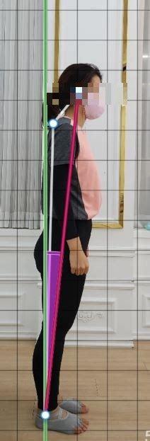 노원필라테스노원역 필라테스 에스바디워크 필라테스 체형교정을 위해 네이버 블로그