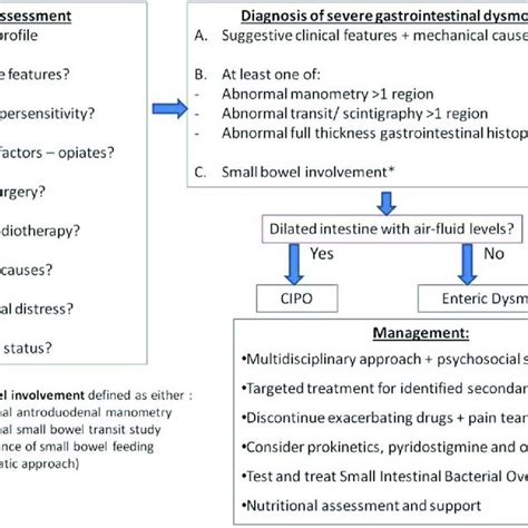 An Updated Evidence Based Algorithm For The Pragmatic Approach To Download Scientific Diagram