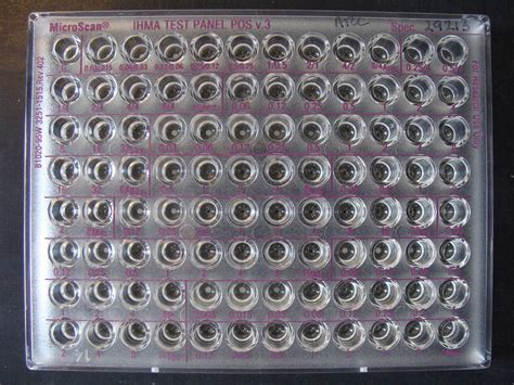 Microscan Plate Microscan Microbroth Dilution Plate For An Flickr