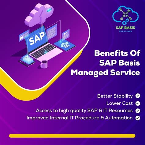 Sapbasis Sapservices Sapserviceprovider Sapbasisconsultant Sapbusinesssolution Saudiarabia