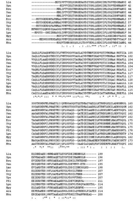 Sequence Alignment Of The Putative Clpp From L Pneumophila With Other