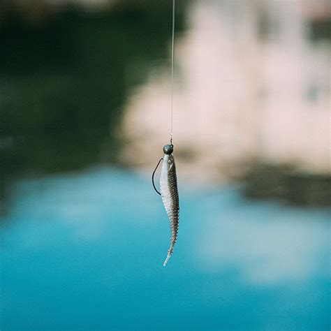 Rapala® Crushcity® Freeloader Rapala® Français