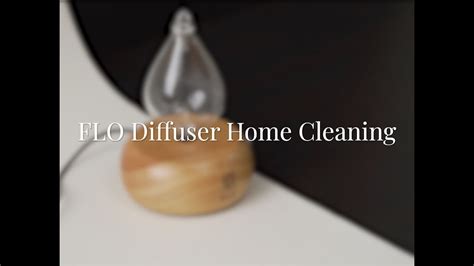 Flo Diffuser Home Cleaning Youtube