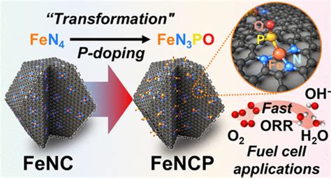 Transformation Of The Active Moiety In Phosphorus Doped Fenc For Highly Efficient Oxygen
