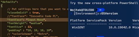 Bug Cannot Use Different Styles Of Input Mono Font · Issue 9157 · Microsoftterminal · Github