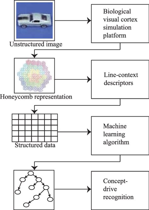 Multiple Representations Download Scientific Diagram