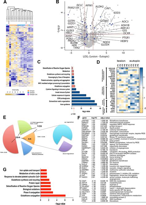 Proteomic And Transcriptomic Data Reveal Oxidative Stress Lipid