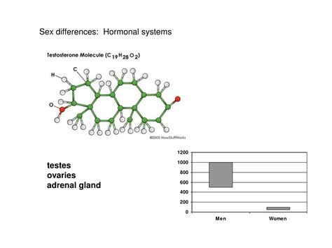 Ppt Biological Substrates Of Personality Powerpoint Presentation Free Download Id 477985