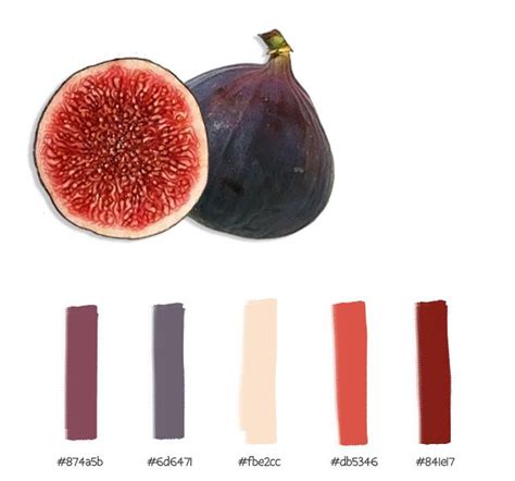 Fig Color Palette Fig Color Color Palette