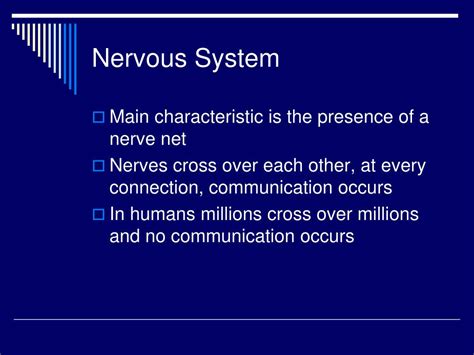 Ppt Phylum Cnidaria And Ctenophora Powerpoint Presentation Free