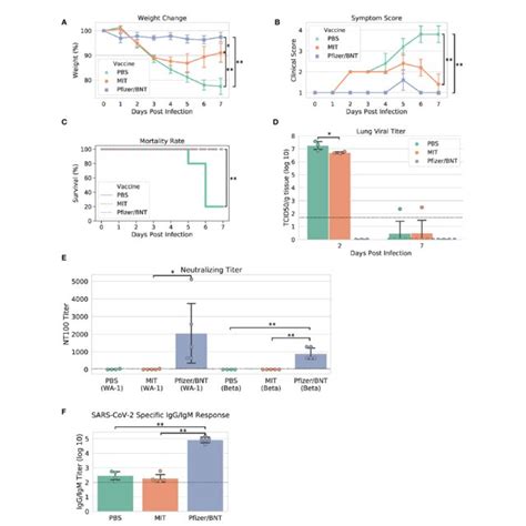 A Assembled Vaccine Construct Containing A Secretion Signal Sequence