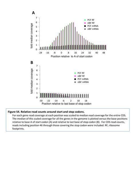 Ppt Figure S1 Ribosome Profiling Library Preparation And Characterization Powerpoint