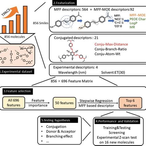 Chemical Information Extracted From Machine Learning Models A Shap