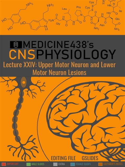 24th lecture upper motor neuron and lower motor neuron lesions cns