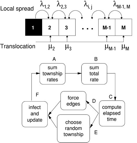 Predicting The Spatial Dynamics Of Rabies Epidemics On Heterogeneous