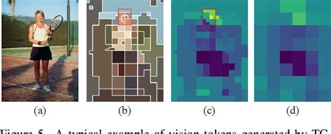 figure 1 from not all tokens are equal human centric visual analysis