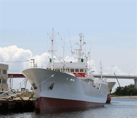 At Sea Transshipment In Tuna Fisheries