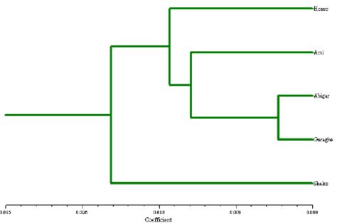 Dendrogram Generated By The Upgma Method For Nei 1978 Genetic