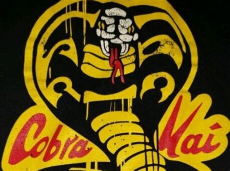 Quem Você Seria Em Cobra Kai Quizur