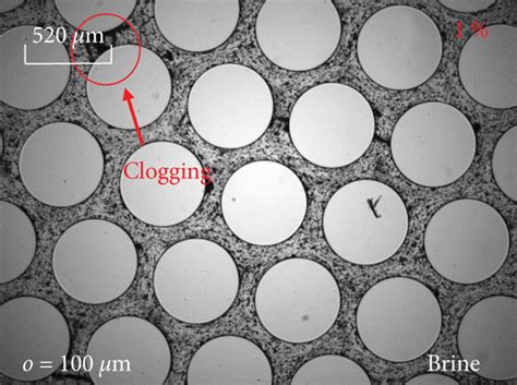 The Effects Of Ionic Concentration Of Fluid On Clogging Behaviors In Download Scientific