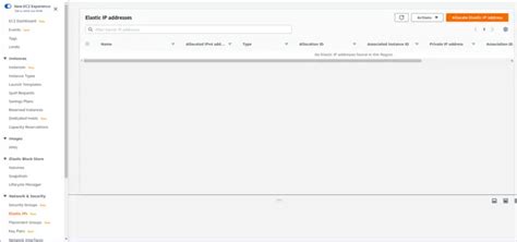 How To Use Domain Name Instead Of Public Dns Ip In Amazon Linux Ec2 Instance