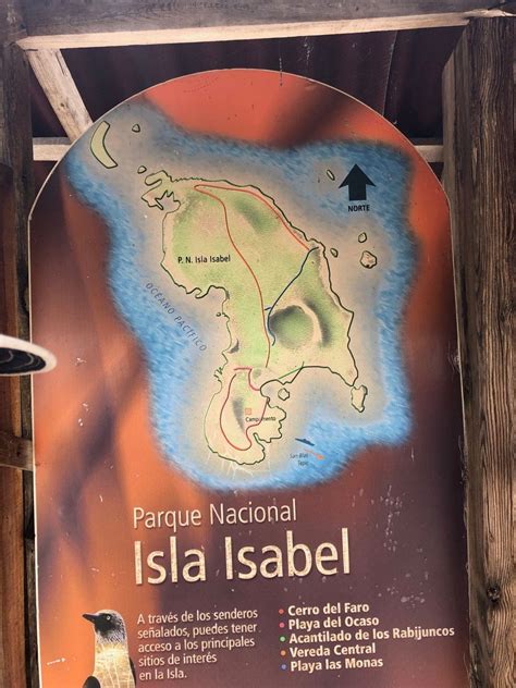 Isla Isabel The Galapagos Of Mexico