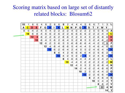 Ppt Bioinformatics 4 Powerpoint Presentation Free Download Id