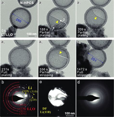 A In Situ Tem Observation Of A Typical Li Platingstripping Cycle On A Download Scientific