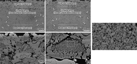 Microstructures Of Ysznicraly Compositionally Graded Layer Tbcs Download Scientific Diagram