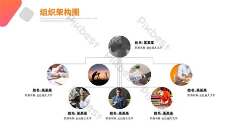 Business Company Structure Organization Chart PPT Template PowerPoint PPTX Template Free