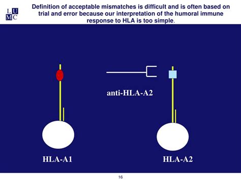 Ppt Acceptable Mismatches Based On Structural Epitopes On Hla Molecules Powerpoint