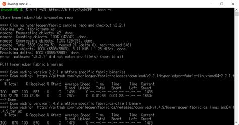 Installation Of Hyperledger Fabric Sample And Some Troubleshooting By
