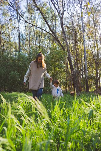 젊은 어머니는 작은 아들과 함께 공원과 숲을 통해 태양과 자연을 즐기며 사랑으로 가득 찬 출산을 한 가족으로 걷습니다 2 3 살에 대한 스톡 사진 및 기타 이미지 Istock